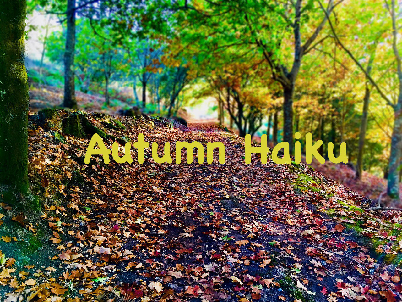 Monday Sparks -- Writing prompts — JPC Allen Writes