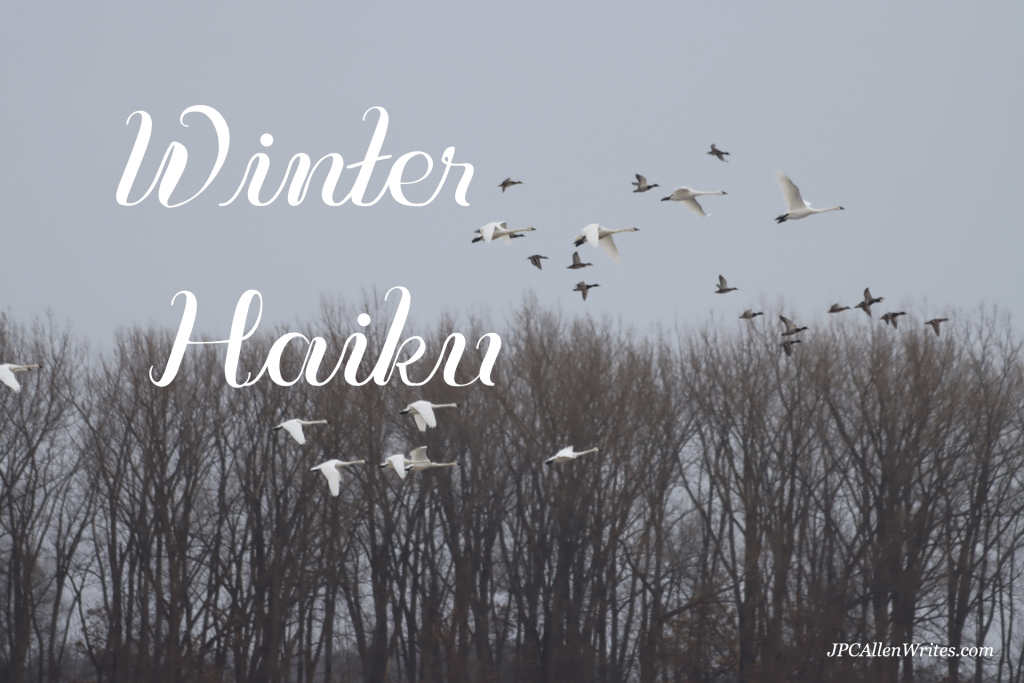 Winter Haiku — JPC Allen Writes
